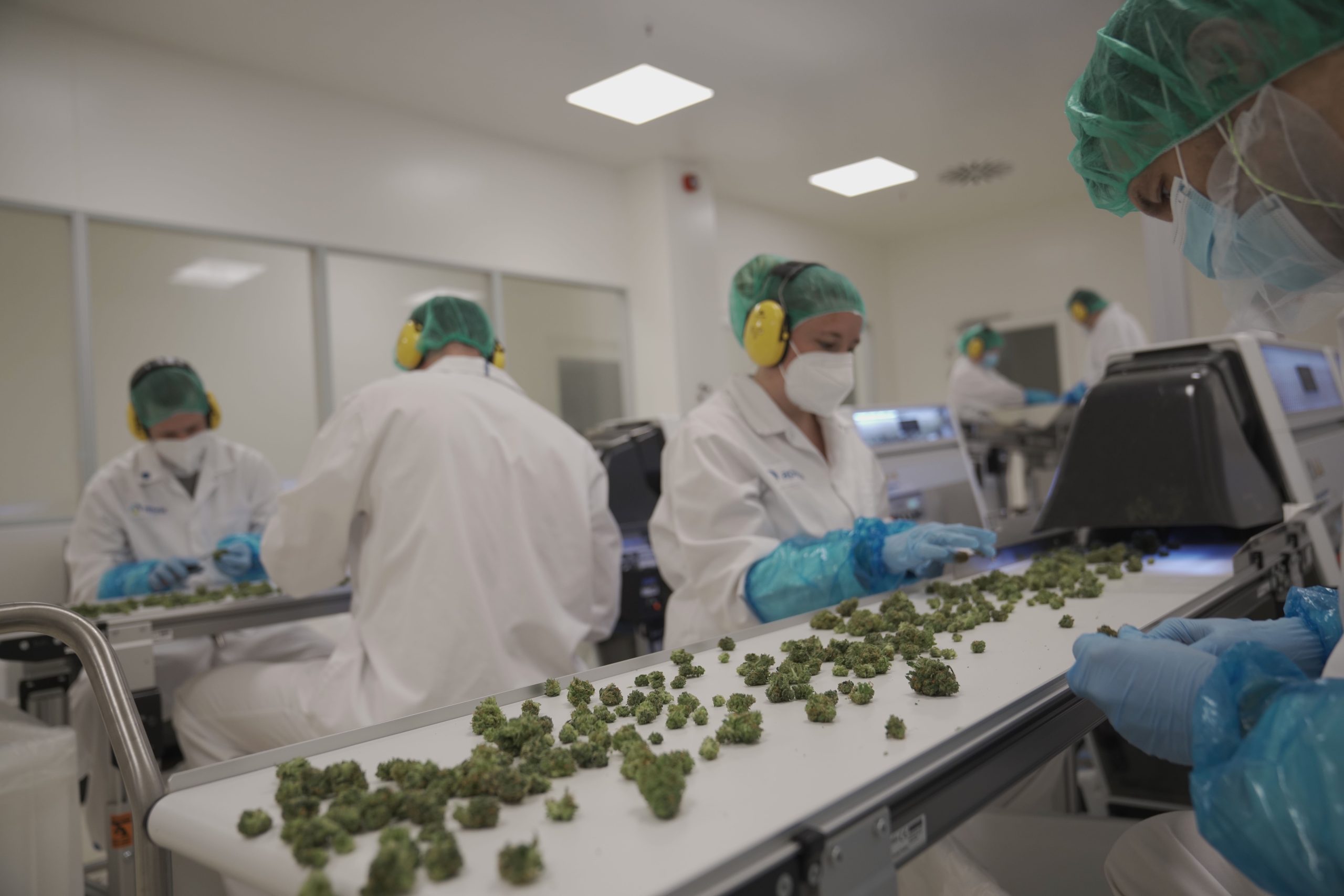 Tilray Announces Medical-Use Expansion Plans in Panama | Cannabis ...