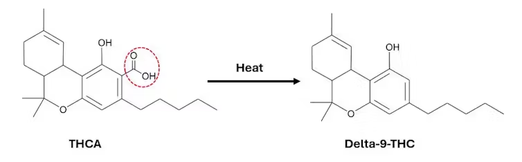 Delta-8, Delta-9, THCA? What Sets the Different THC Forms Available in ...